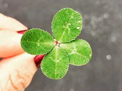 42 frases de sorte que te farão refletir sobre o acaso